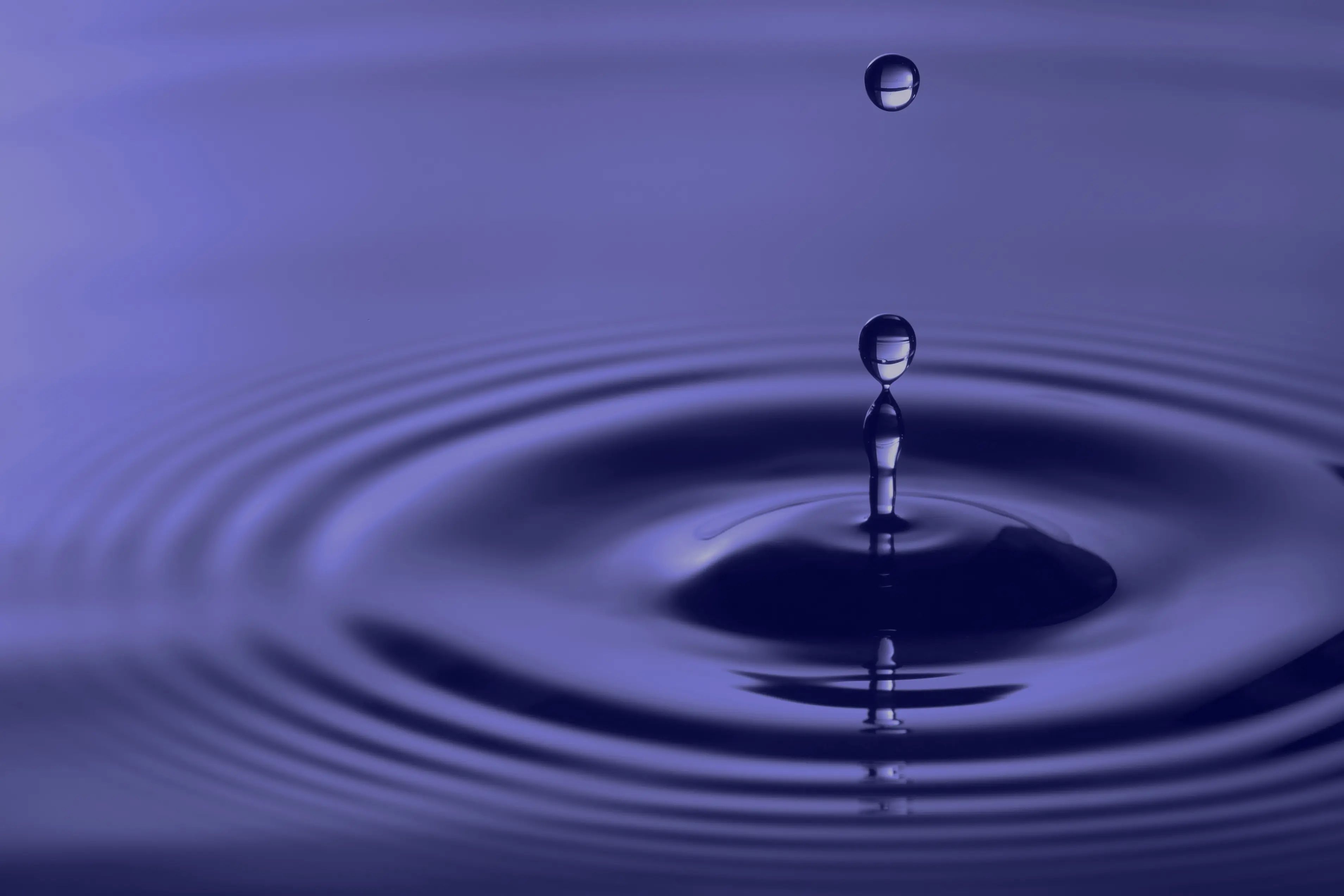 Reference Process and Service Library 2024 | ORX Membership